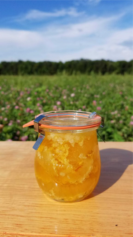 comblr – Firefly Fields