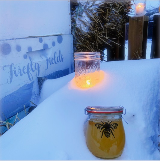 Summer’s Glow (Honey) in the Snow – Firefly Fields