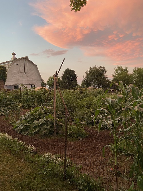 Firefly Garden2 – Firefly Fields